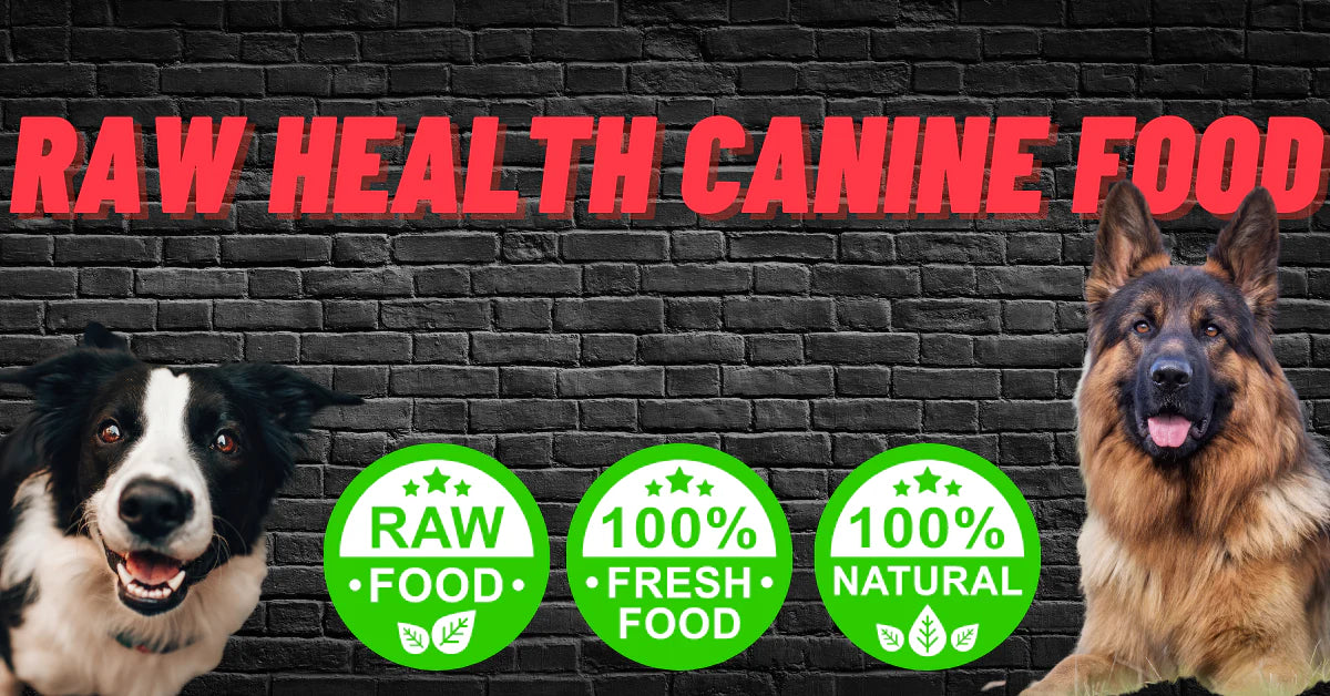 Raw Health Canine Food JAX